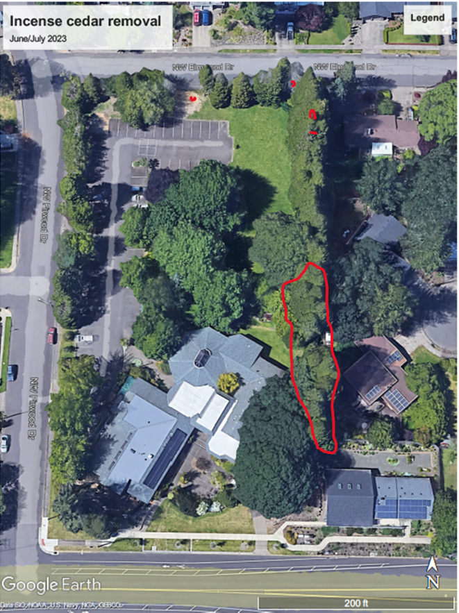 REMOVAL OF INCENSE CEDAR TREES - Welcome to the UUFC